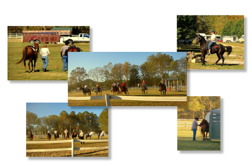 CaveRun.org | Rudy's Ranch